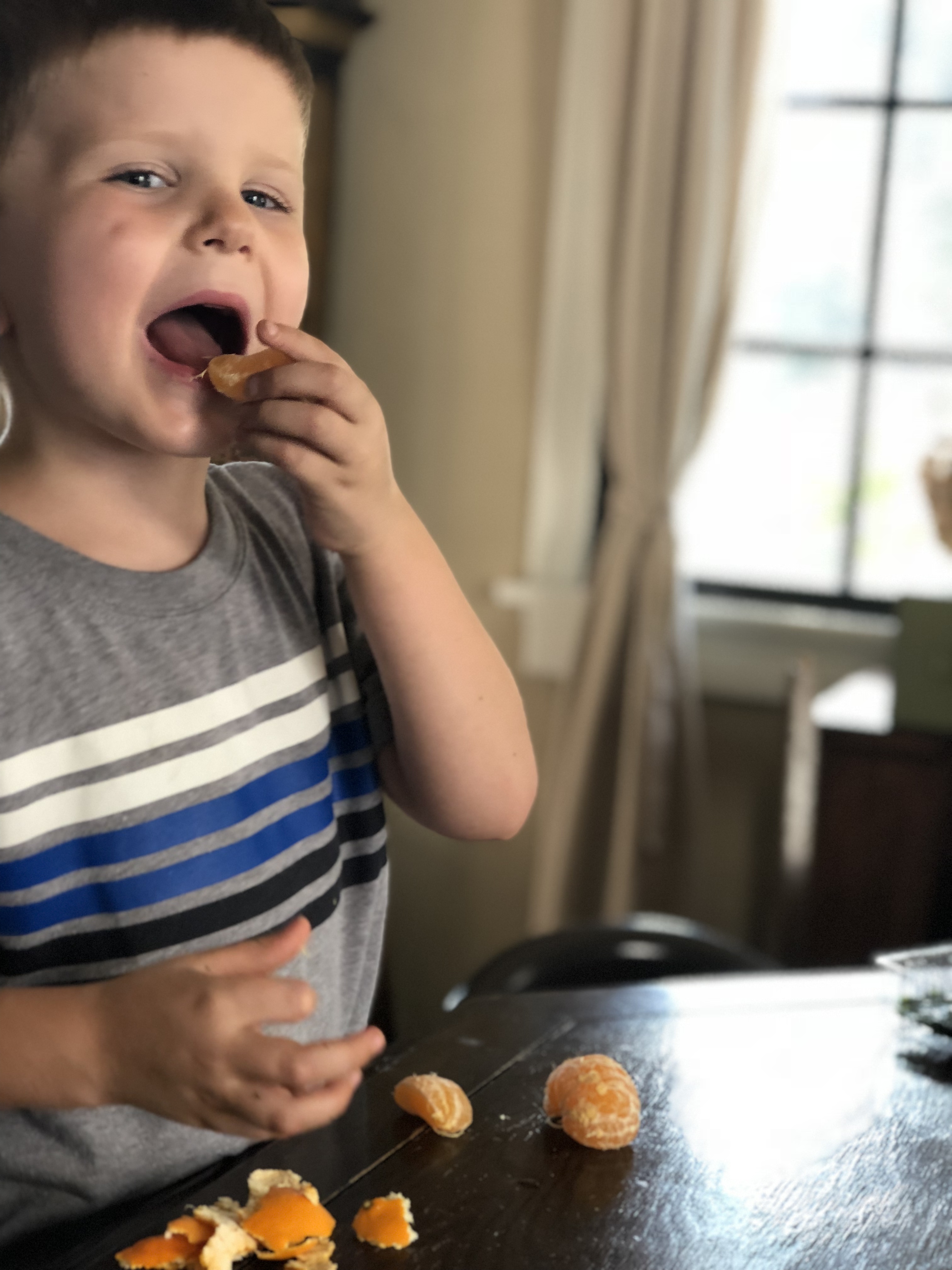 Seasons – Launching Rocket Babies