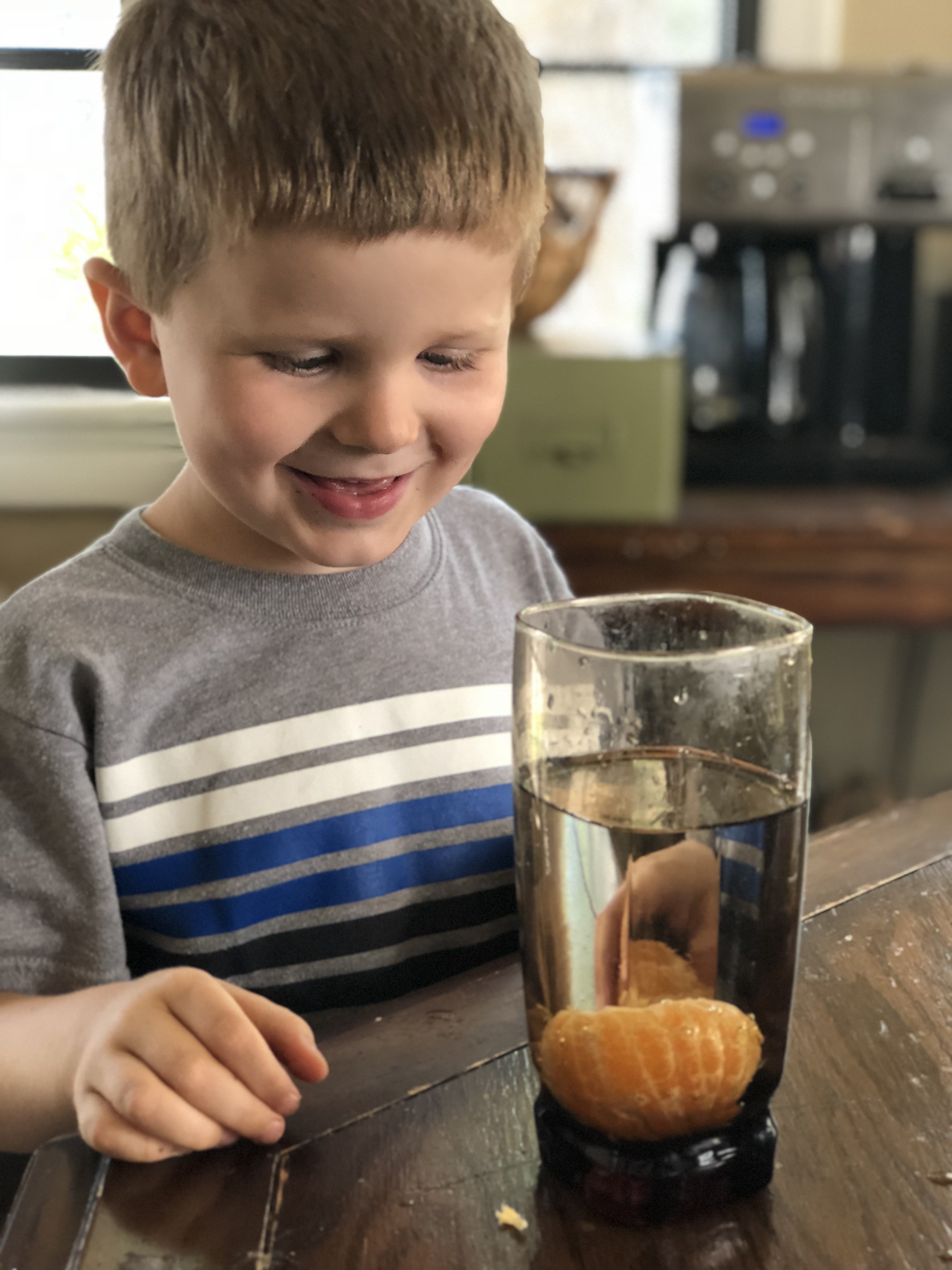 Seasons – Launching Rocket Babies